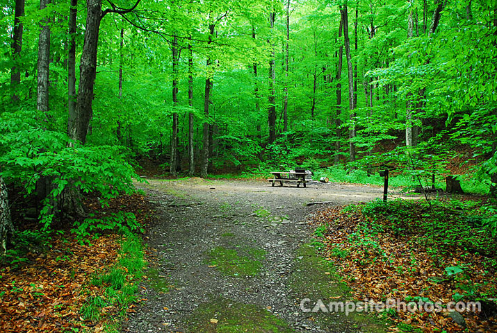 Devils Tombstone Campsite Photos 0668